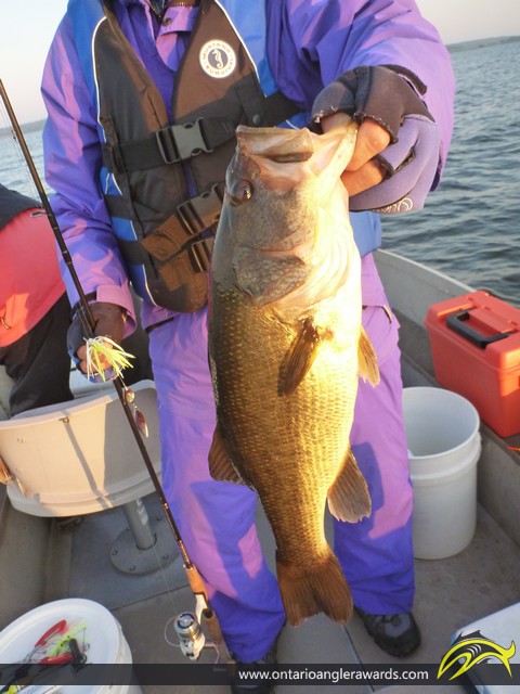 Largemouth Bass Ofah Ontario Angler Awards