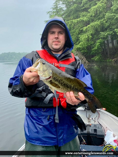 Largemouth Bass Ofah Ontario Angler Awards