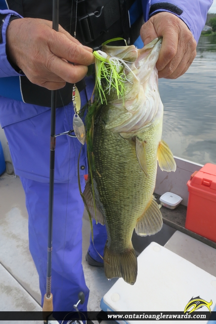 Largemouth Bass | OFAH Ontario Angler Awards